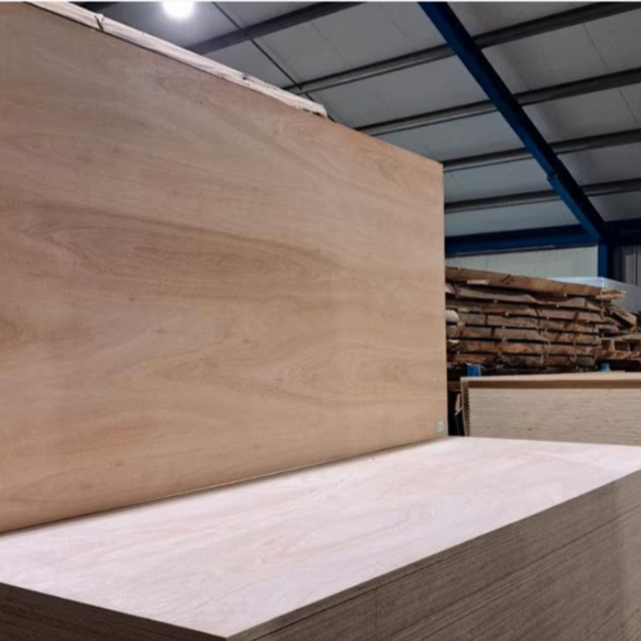 Multiplex Meranti 18mm - 122 x 244 cm – DPhouthandel